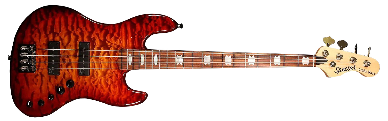 Spector Usa Coda Bass Guitar Custom Built In The Usa
