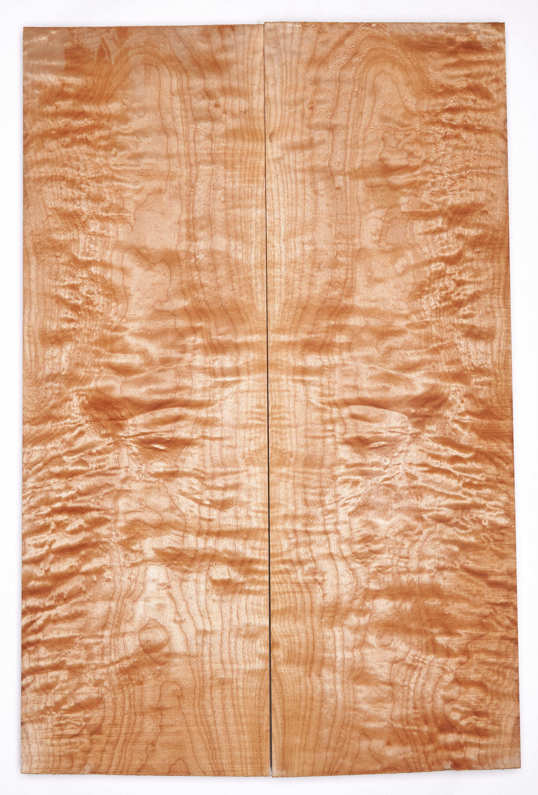 Quilted Maple Archives - Spector Bass