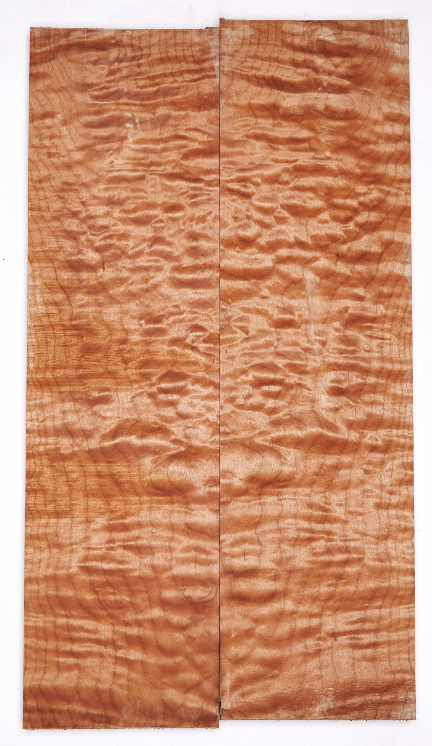 Quilted Maple Archives - Spector Bass