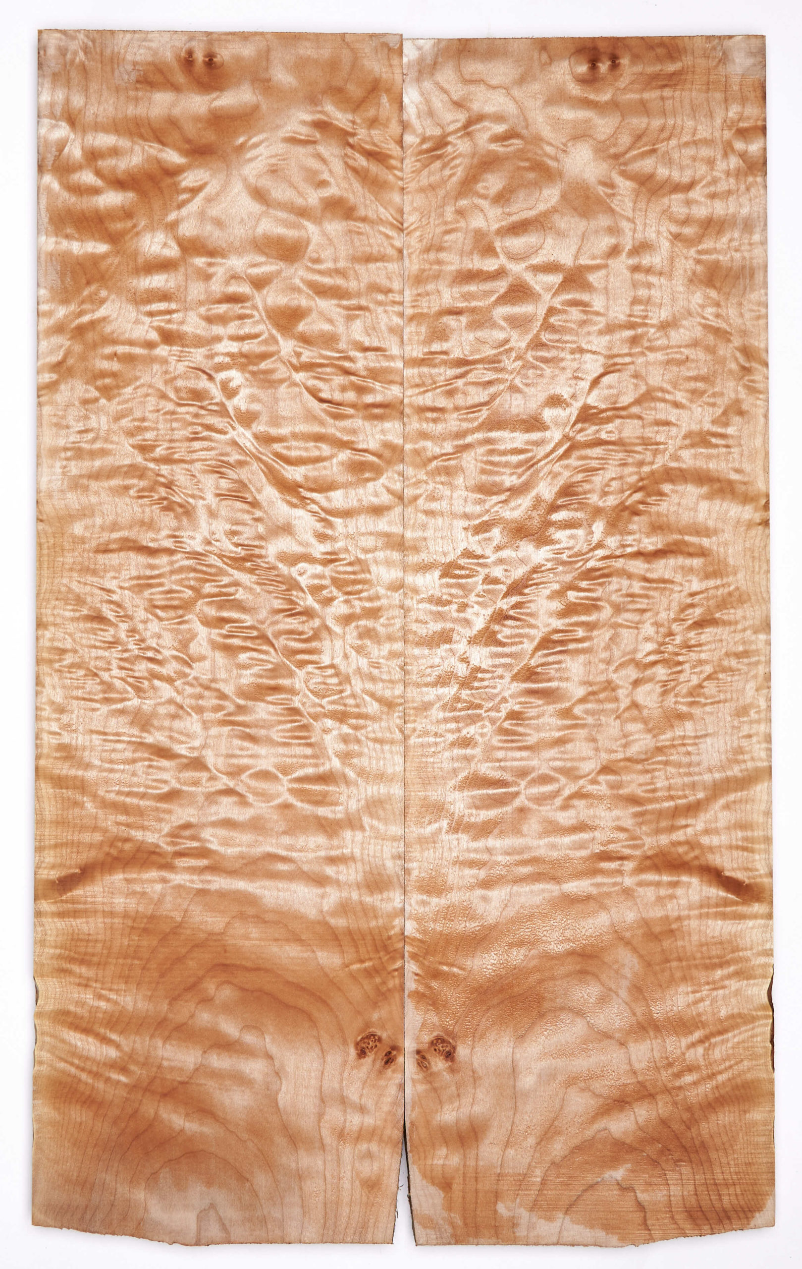 Quilted Maple Archives - Spector Bass