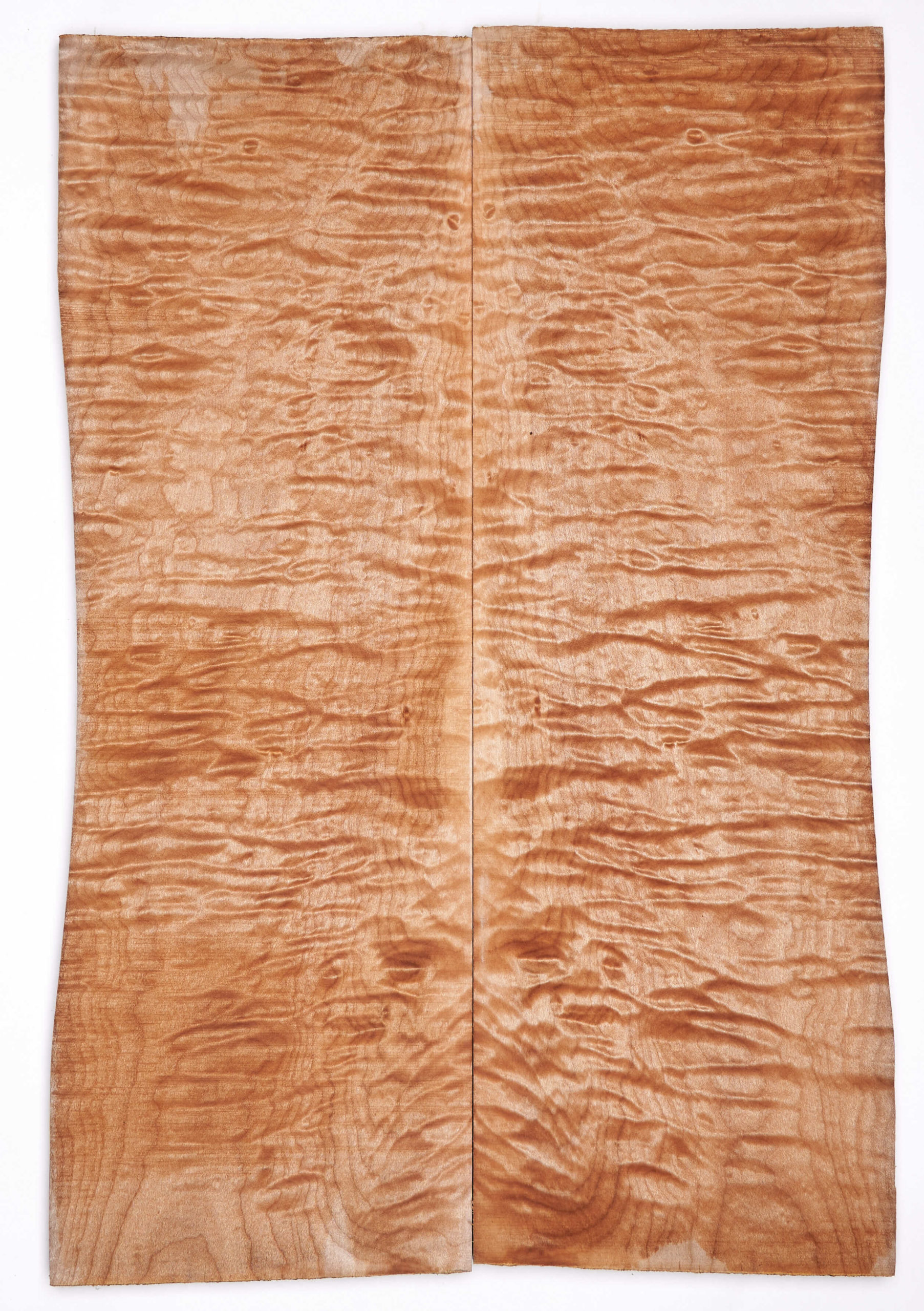 Quilted Maple Archives - Spector Bass