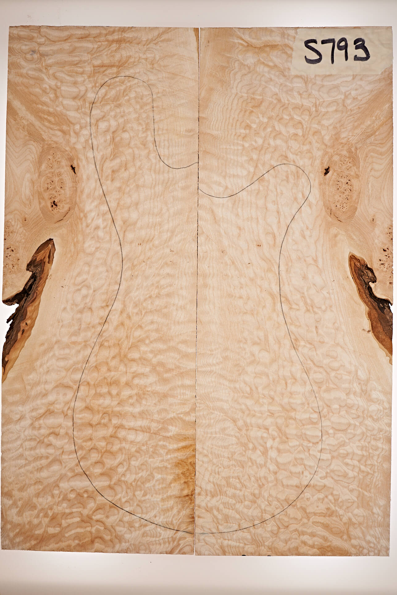 Quilted Maple Archives - Spector Bass